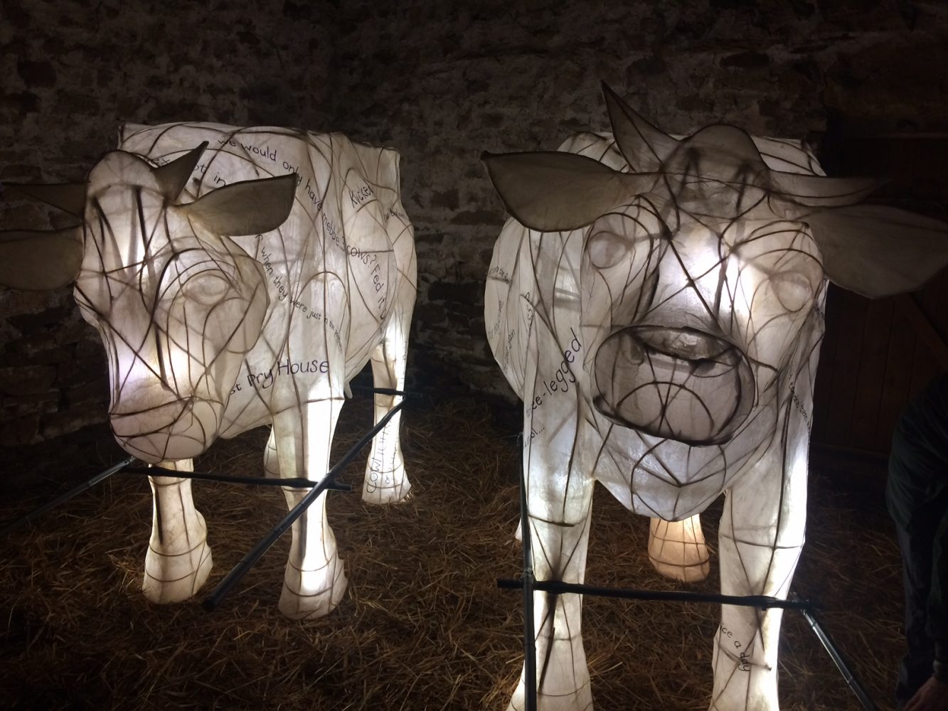Ghost Cow Night - Helen Peyton | Printmaker Artist North Yorkshire